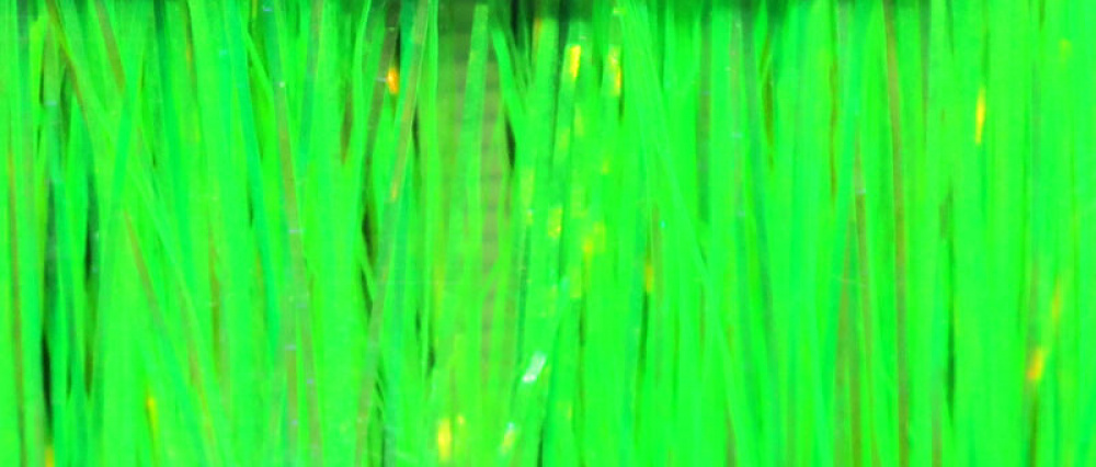 Brilho Chroma Flash (Hareline) - Abduchflyshop