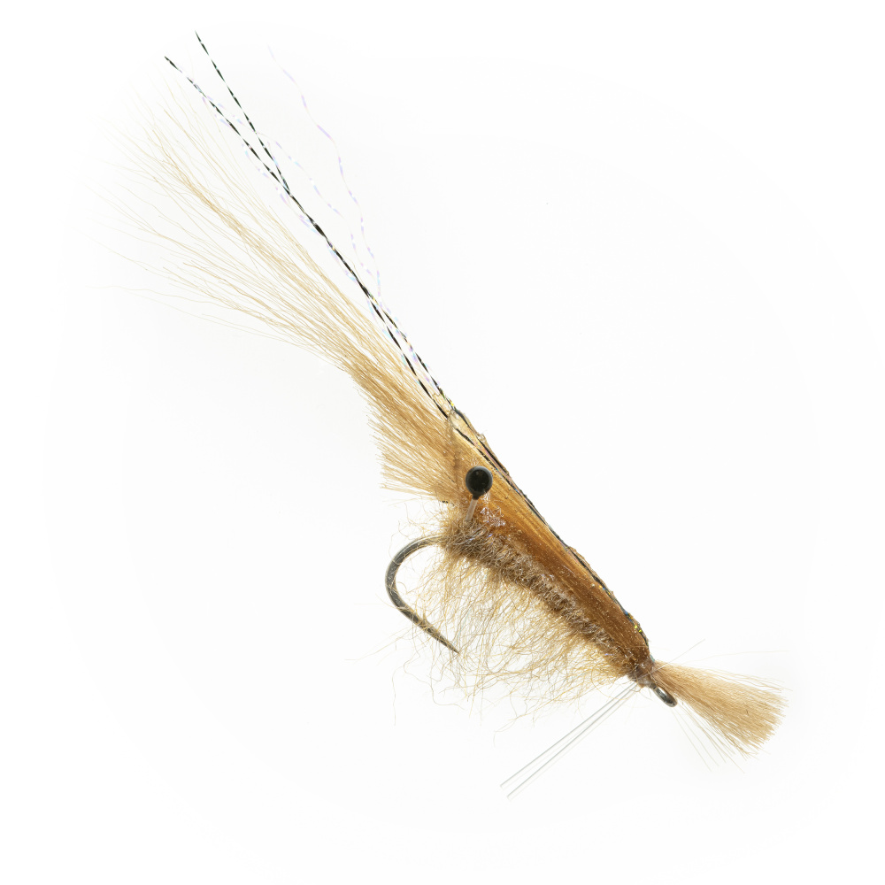 Ep Grass Shrimp 1 - Abduchflyshop