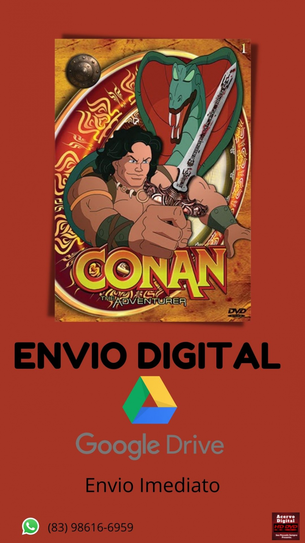 Conan e os Jovens Guerreiros (1994) 9 Eps - Acervo Digital Dvds