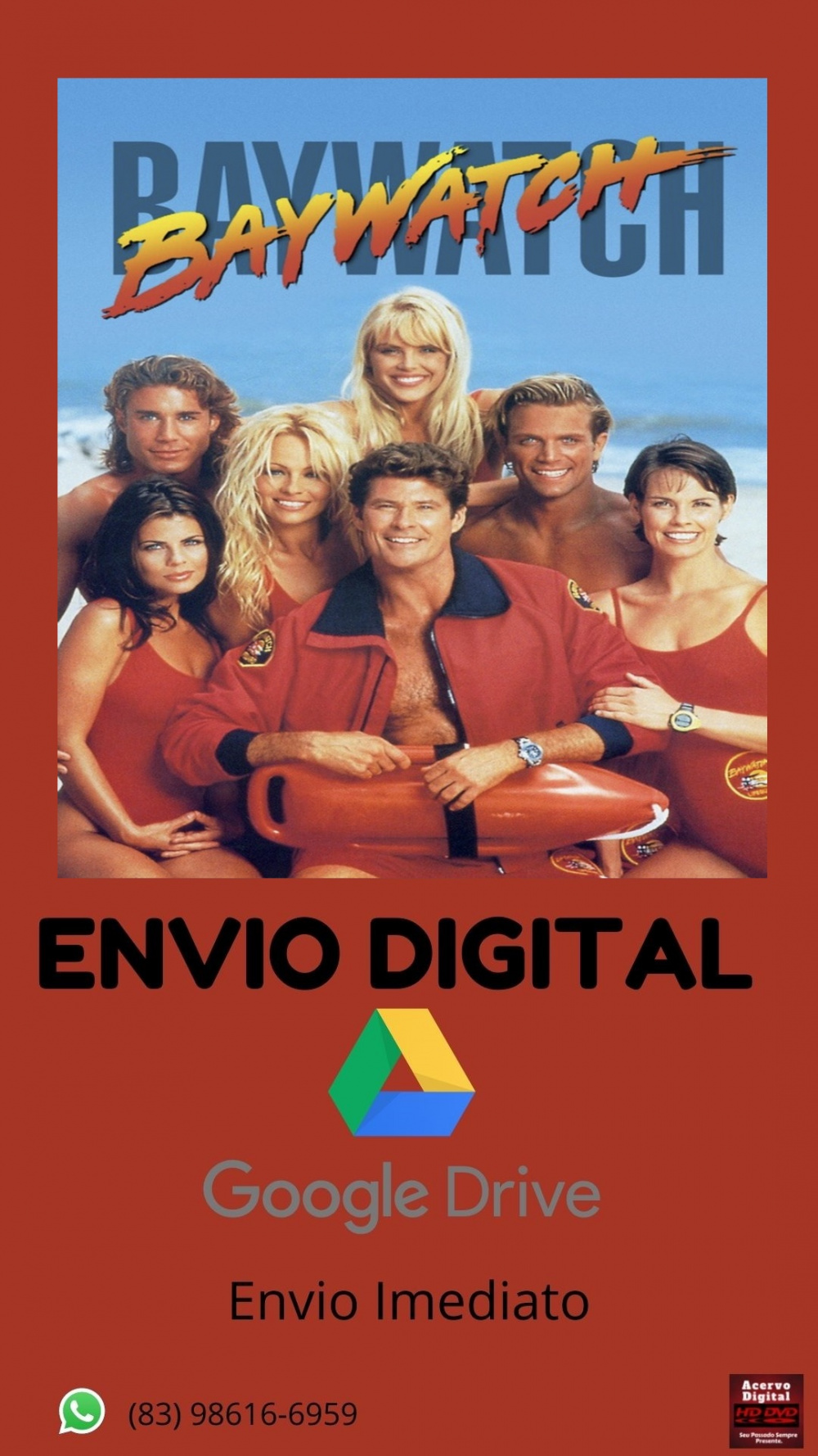 S.O.S. Malibu (1989) 11 Temporadas Legendado - Acervo Digital Dvds
