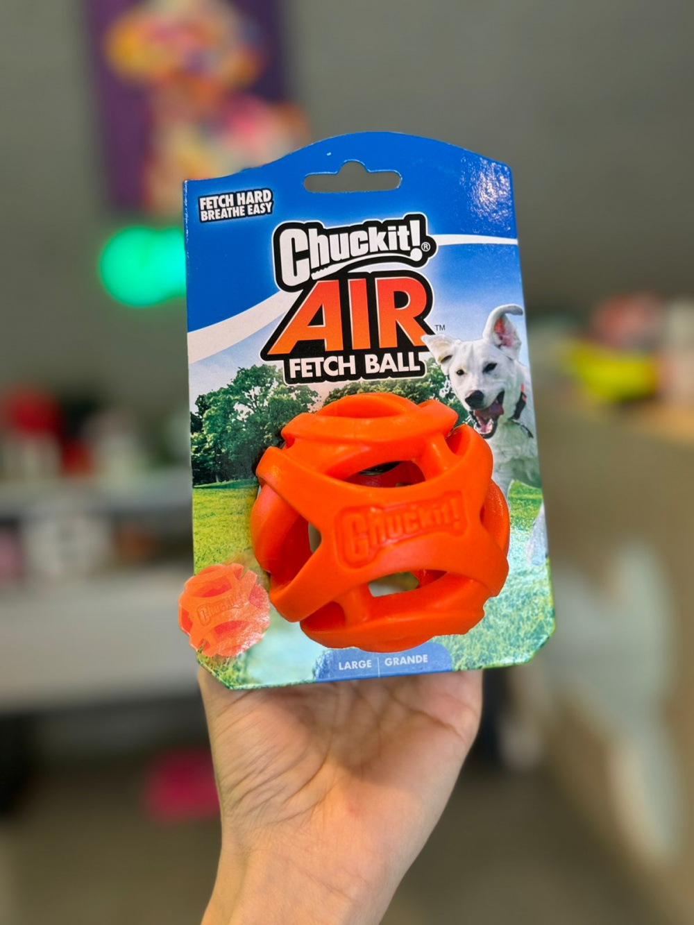 CHUCKIT! AIR FETCH BALL - Loja berit Olivia