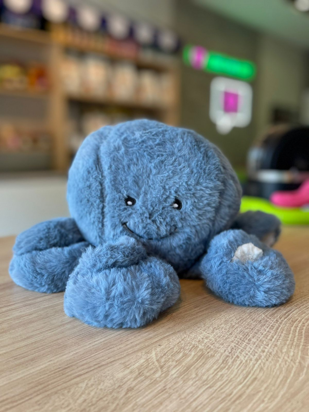 MY BFF OCTAVIOUS THE OCTOPUS - NANDOG - Loja berit Olivia