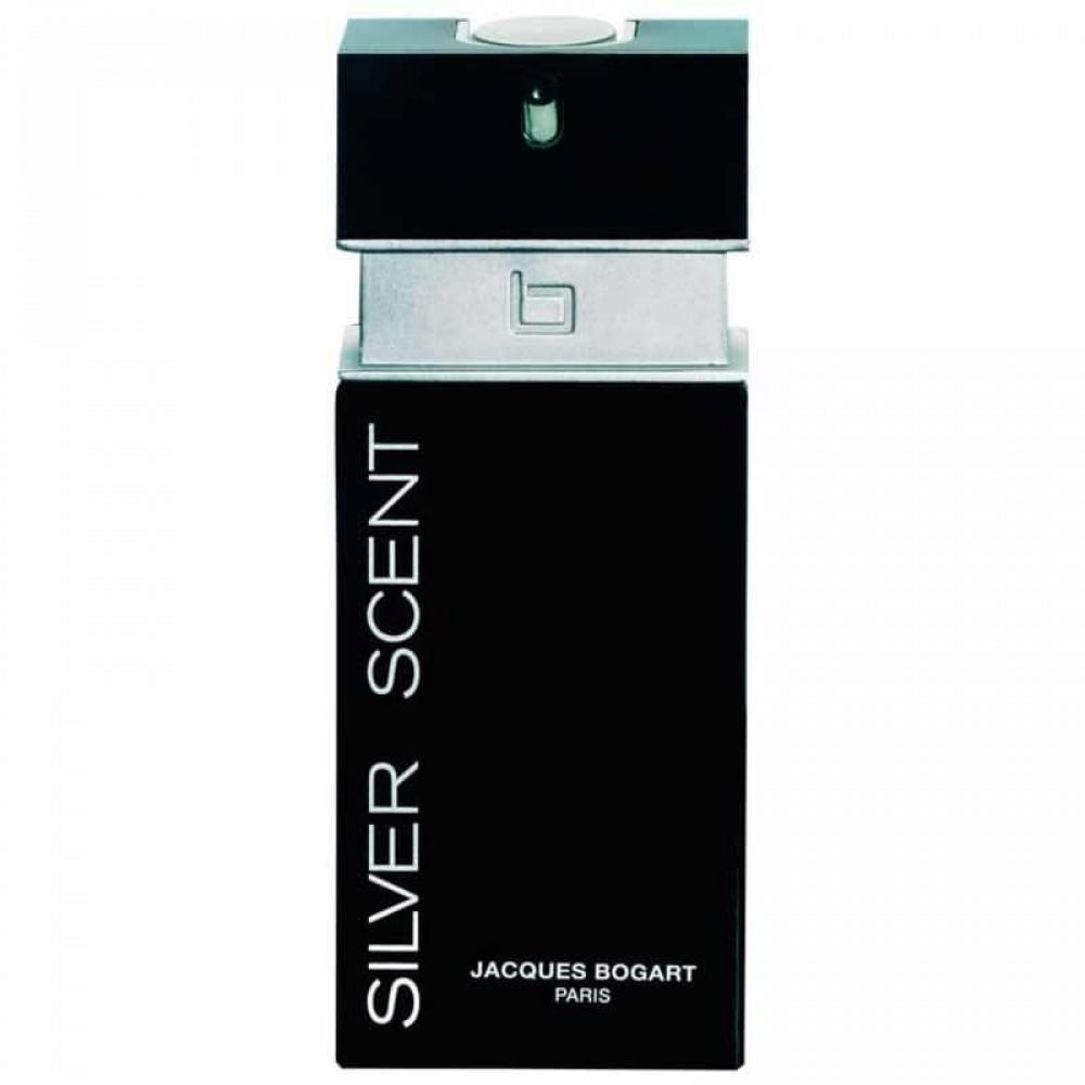 Silver Scent - 100ml - Borges Perfumaria