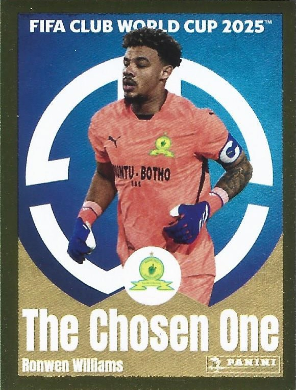 403 - Mamelodi Sundowns - Ronwen Williams - The Chosen One - Brazil ...