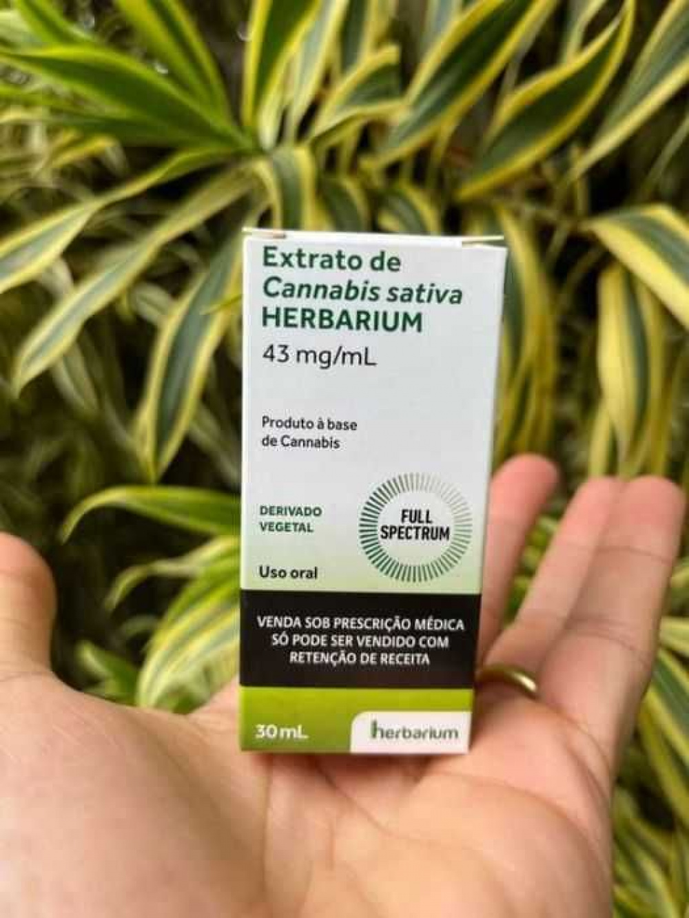 Extrato de cannabis 43mg/ml herbarium 30ml - CALISTEROIDES