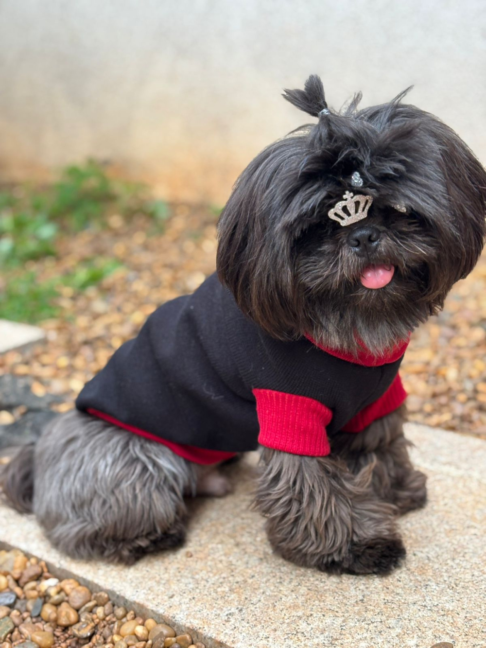 Roupinha Tricô Black & Red Estilo e conforto nos dias frios! - HYPE DOG