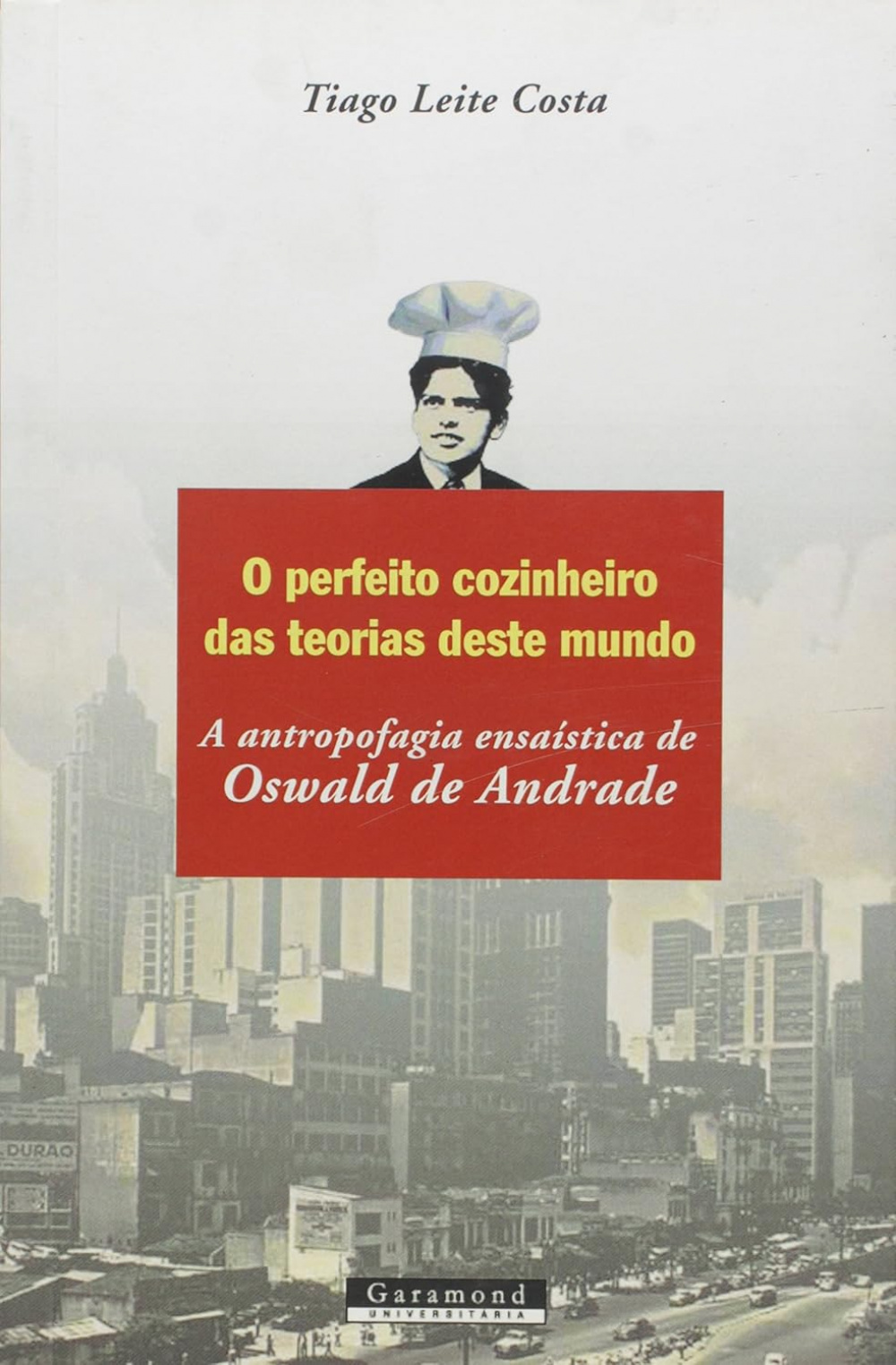 O perfeito cozinheiro das teorias deste mundo | Tiago Leite Costa ...