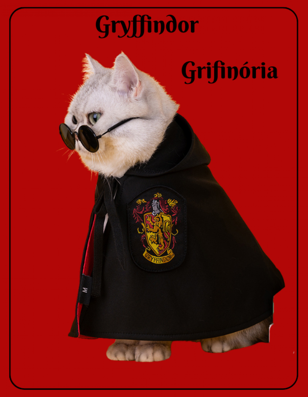 CHEGOU O(A) BRUXINHO(A) DE 4 PATAS!! E ARRASOU!! - HARRY POTTER GOOD WIZARD