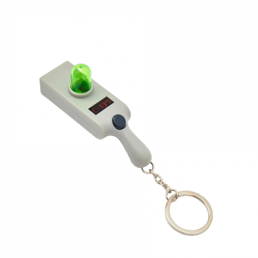 Portal Gun Rick and Morty Chaveiro Luminoso Paladone - Hype Loja © - Os ...