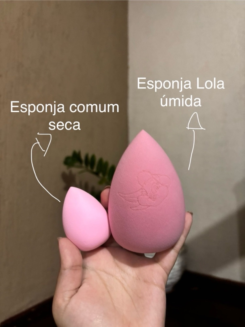 Esponja em gota gigante Lola Bunny - Miss Frandy - Isabella Borges Store
