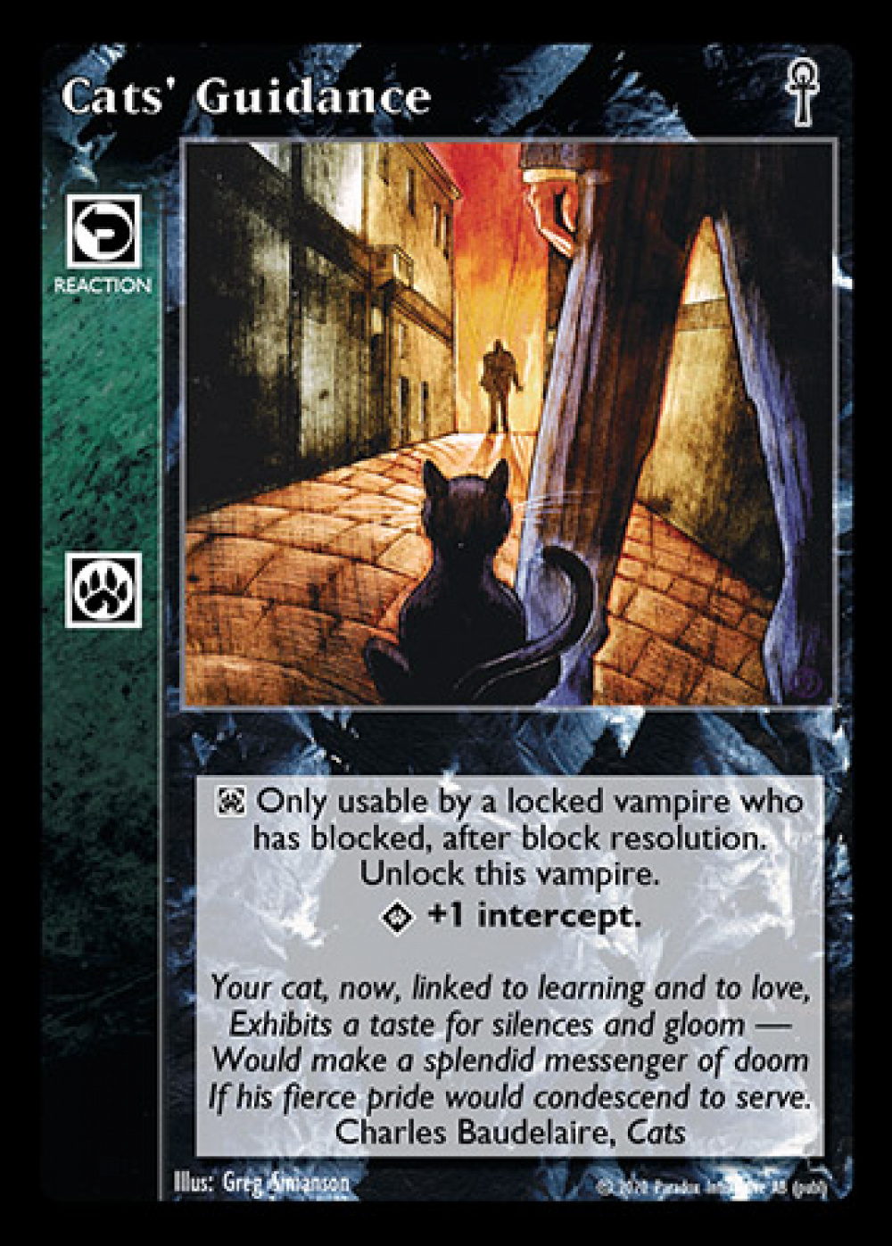 Cats Guidance - JoeStock