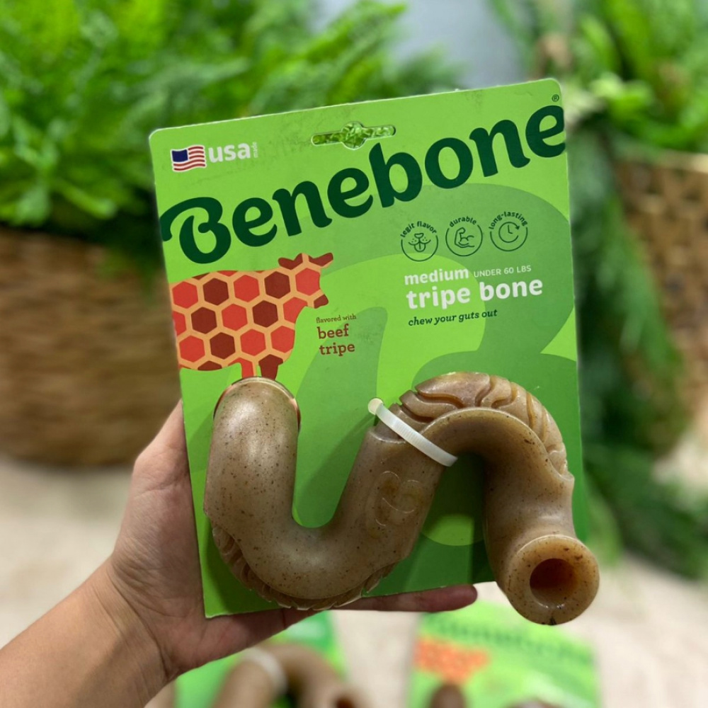 BENEBONE TRIPE BONE SMALL - Kão e Gatto