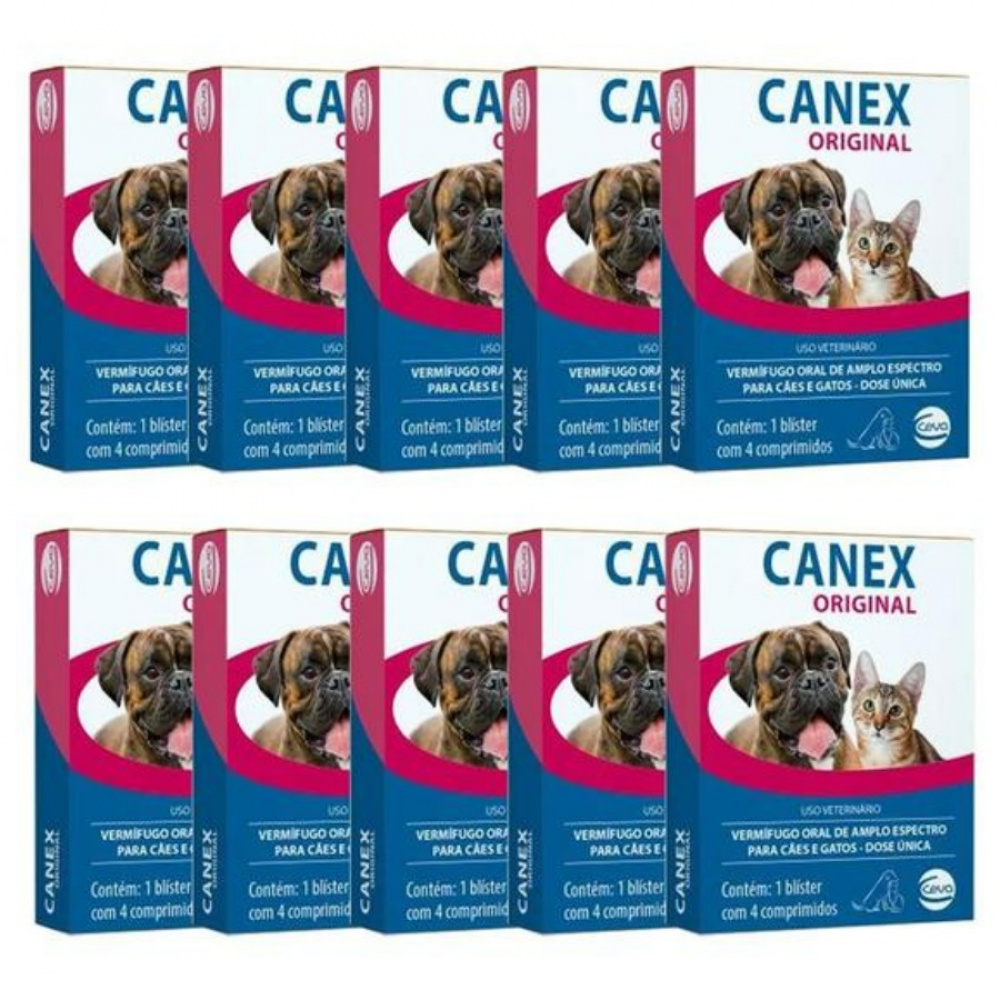 KIT CANEX 10 CAIXAS - Kão e Gatto