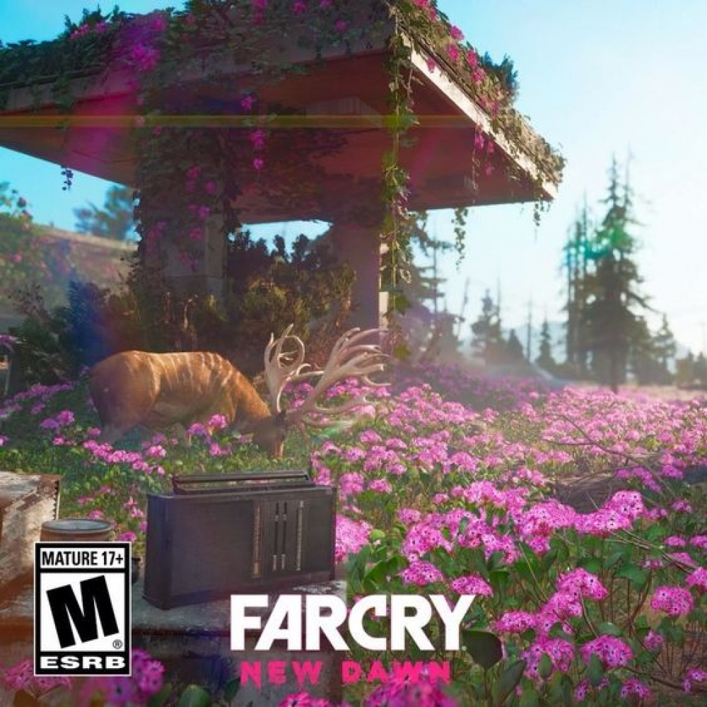 Far Cry New Dawn - LCGI STORE
