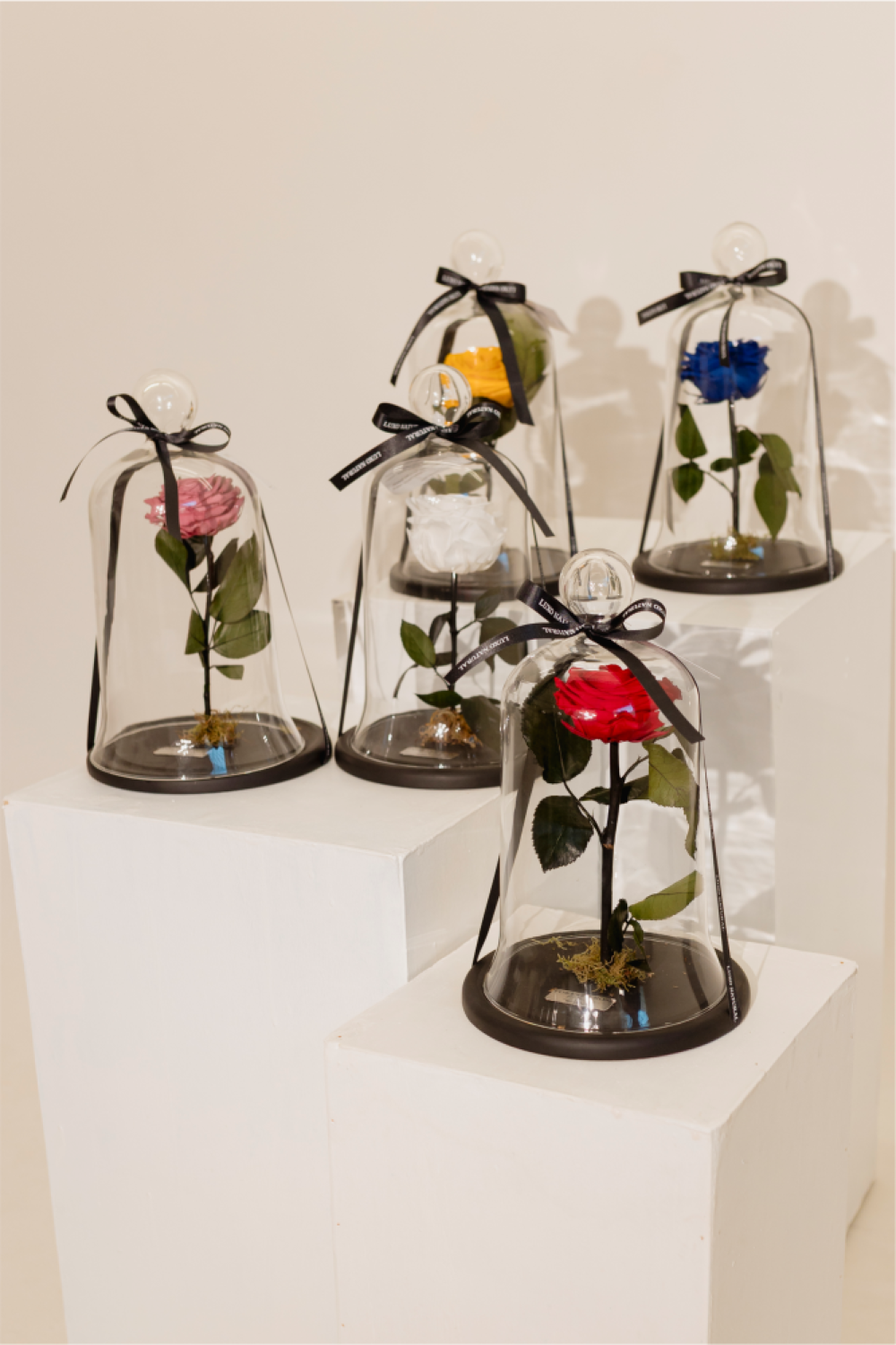 Forever Rose - Luxo Natural