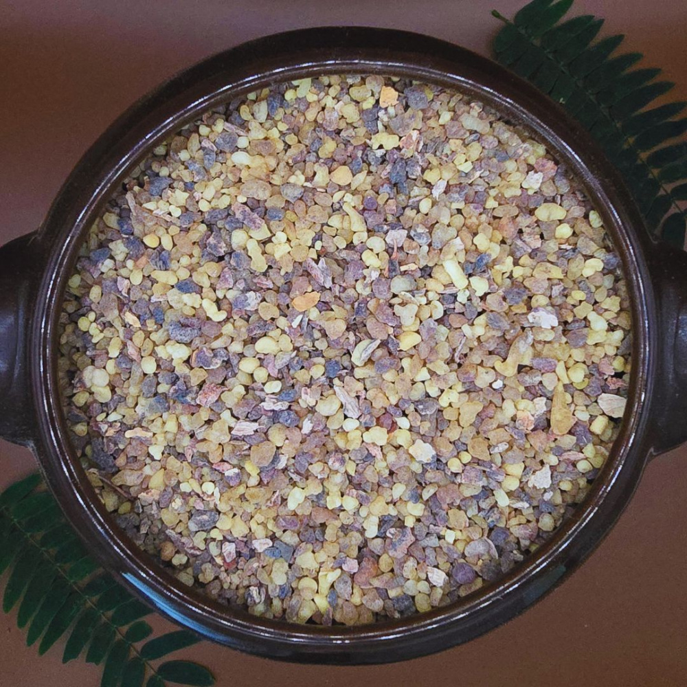 Olíbano Sagrado do Egito - Resina - Medicina Ancestral