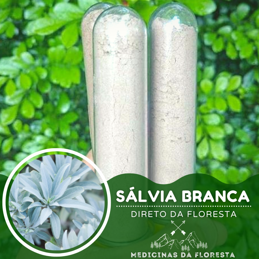 RAPÉ- INDÍGENA SÁLVIA BRANCA - Medicinas da Floresta