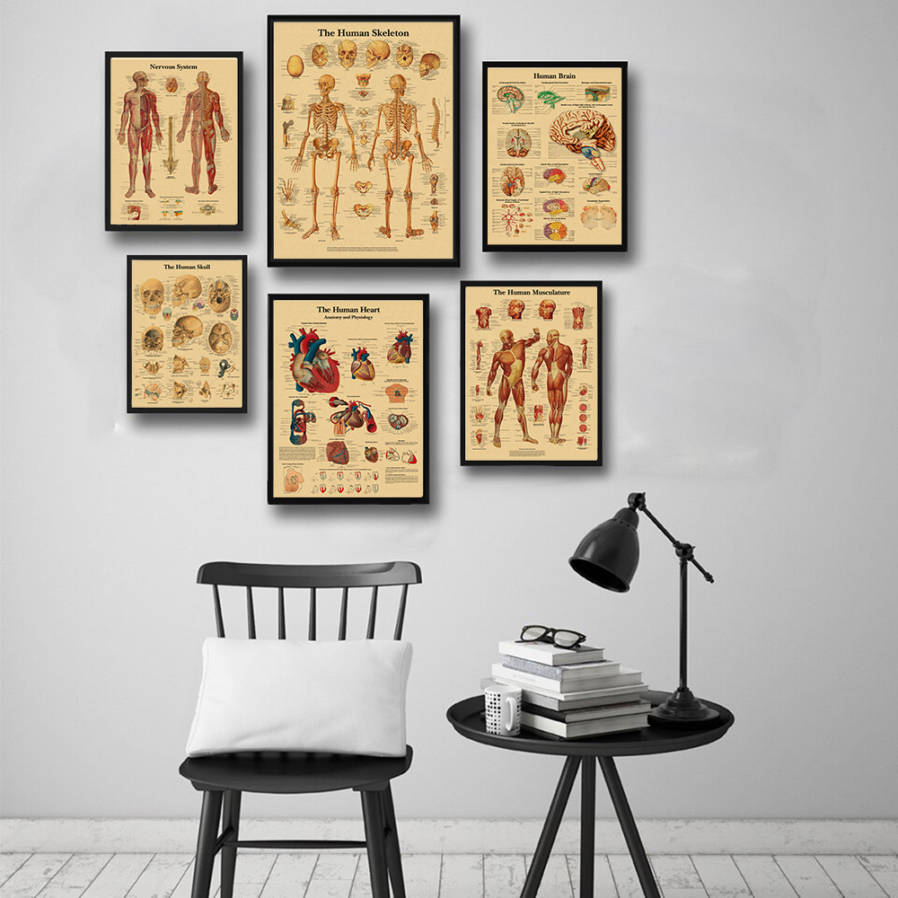 Poster Anatomia Informativo Corpo Humano Retrô Fisiologia - MedStore