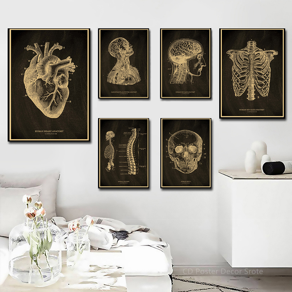 Poster Anatomia Papel Kraft Fundo Preto - MedStore