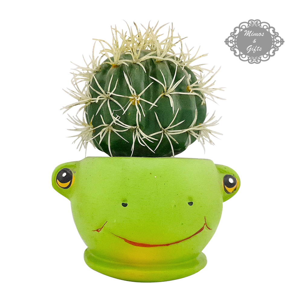 Vaso Sapo com Cacto - Mimos & Gifts