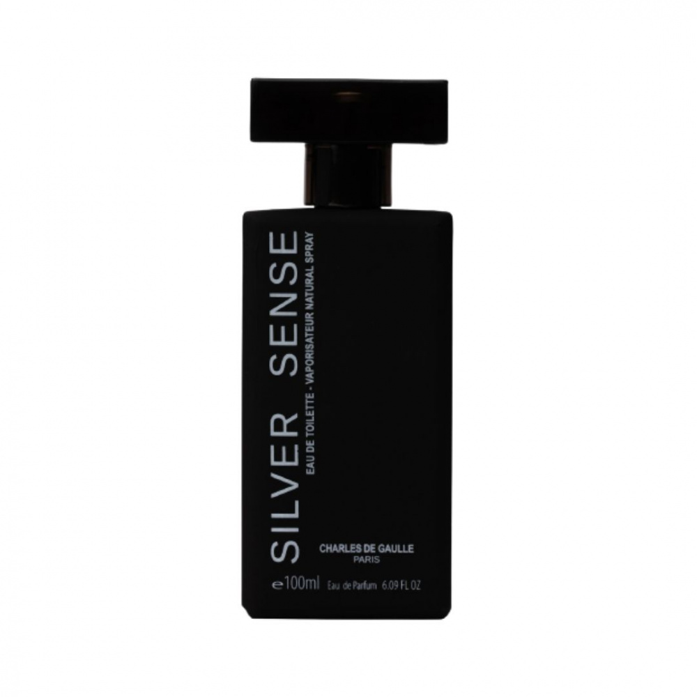 PROMOÇÃO Perfume Masculino Silver Sense 100ml - LP - Year One Perfumes