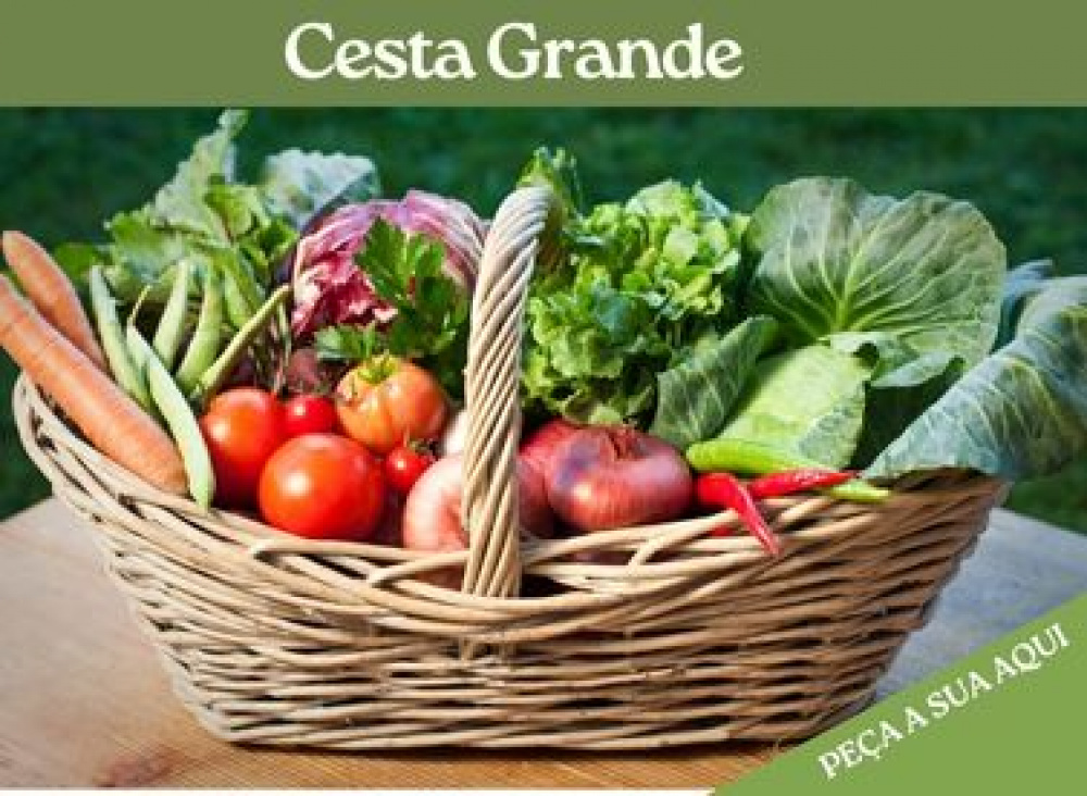 Cesta de Alimentos Orgânicos Grande - ORGÂNICOS RAIZ