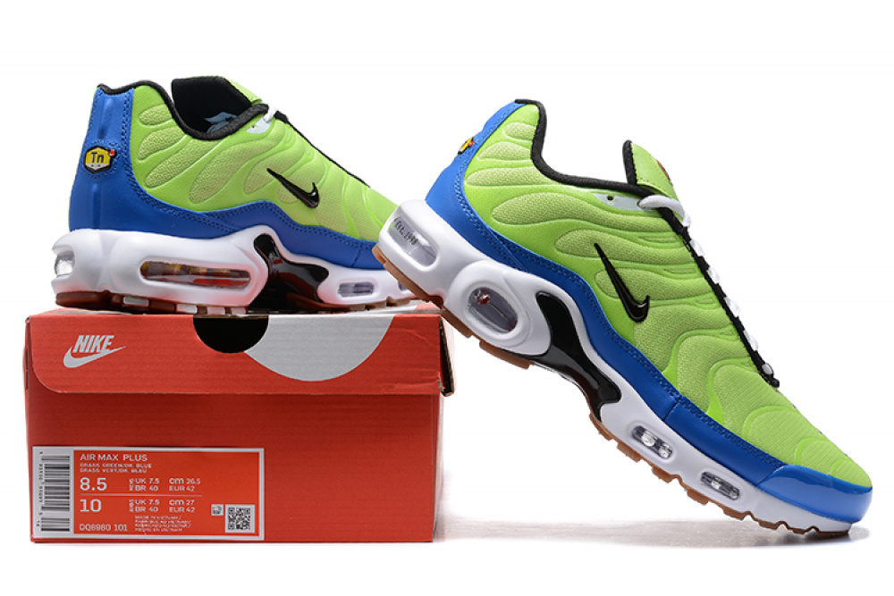 5 Motivos para Escolher os Tênis Nike Air Max Plus Tn M. Frank Rudy ...