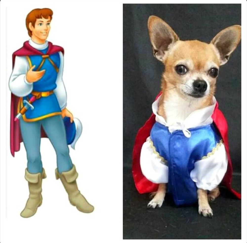 Fantasia Príncipe Branca de Neve - Pet Encanto