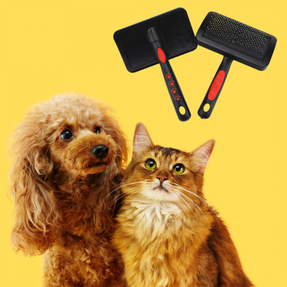 Rasqueadeira para Cães e Gatos Pet - Pets Cub
