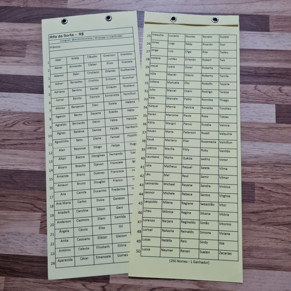 Cartela de Rifa com 250 Nomes ou números (50 fileiras) - 1 ou mais gan ...