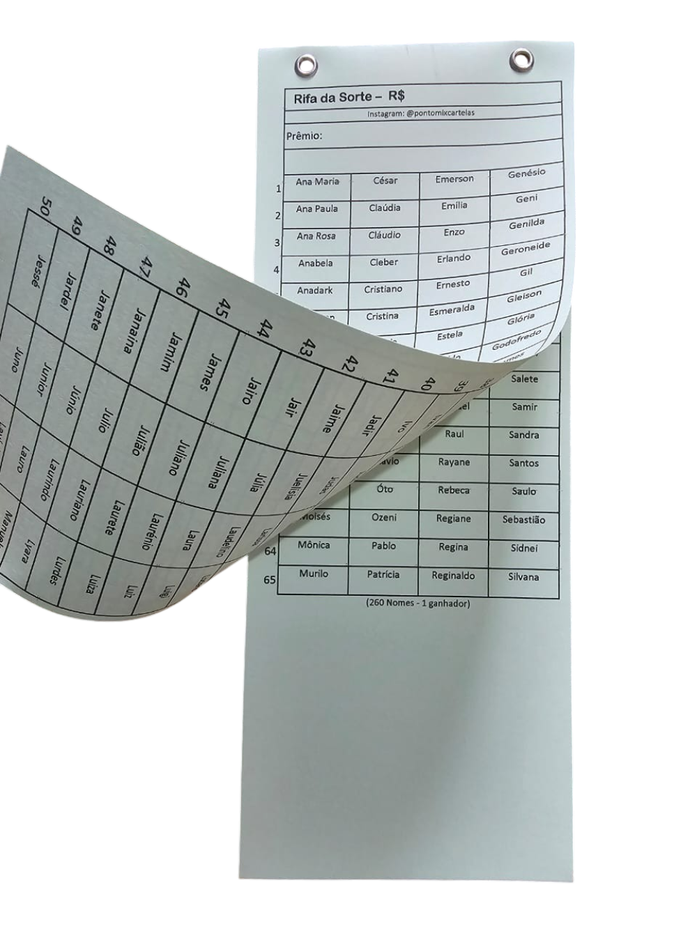 Cartela de Rifa com 260 Nomes misturados (65 fileiras) - 1 ou mais gan ...