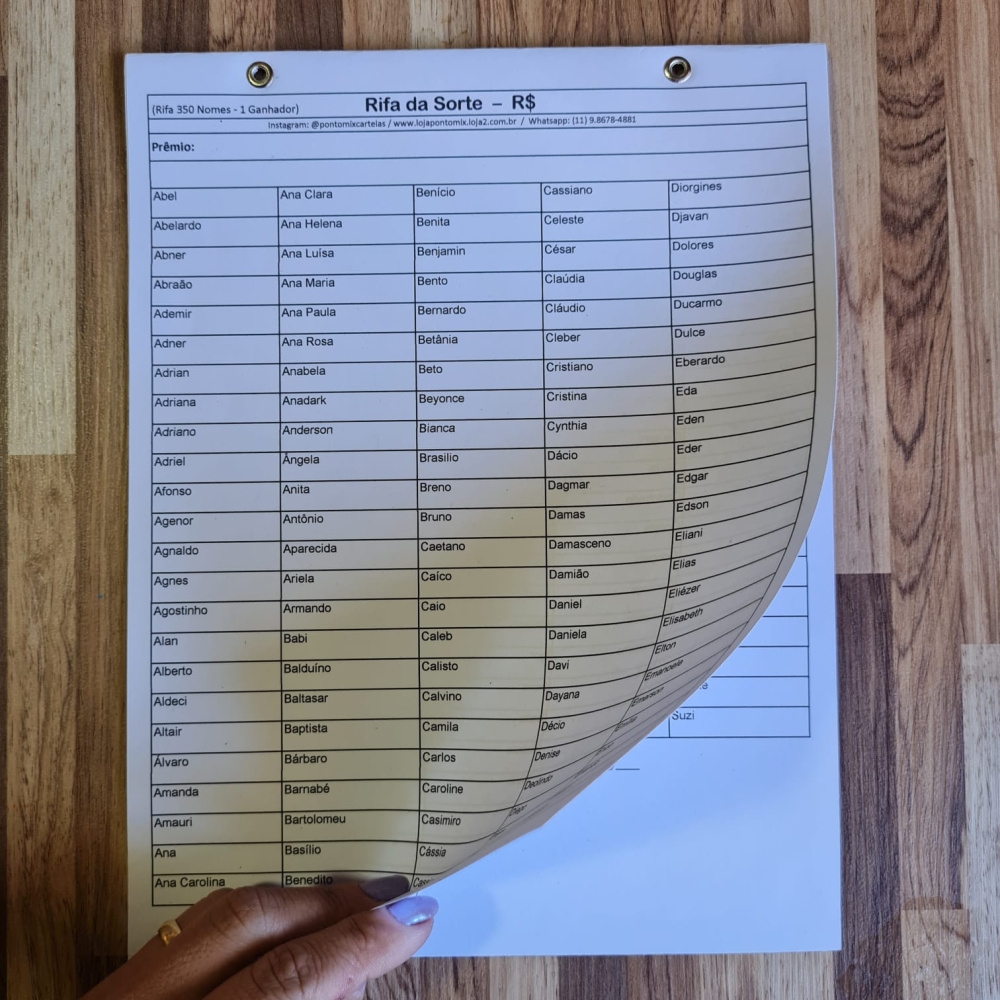 Cartela de Rifa com 350 Nomes misturados, só femininos ou só masculino ...