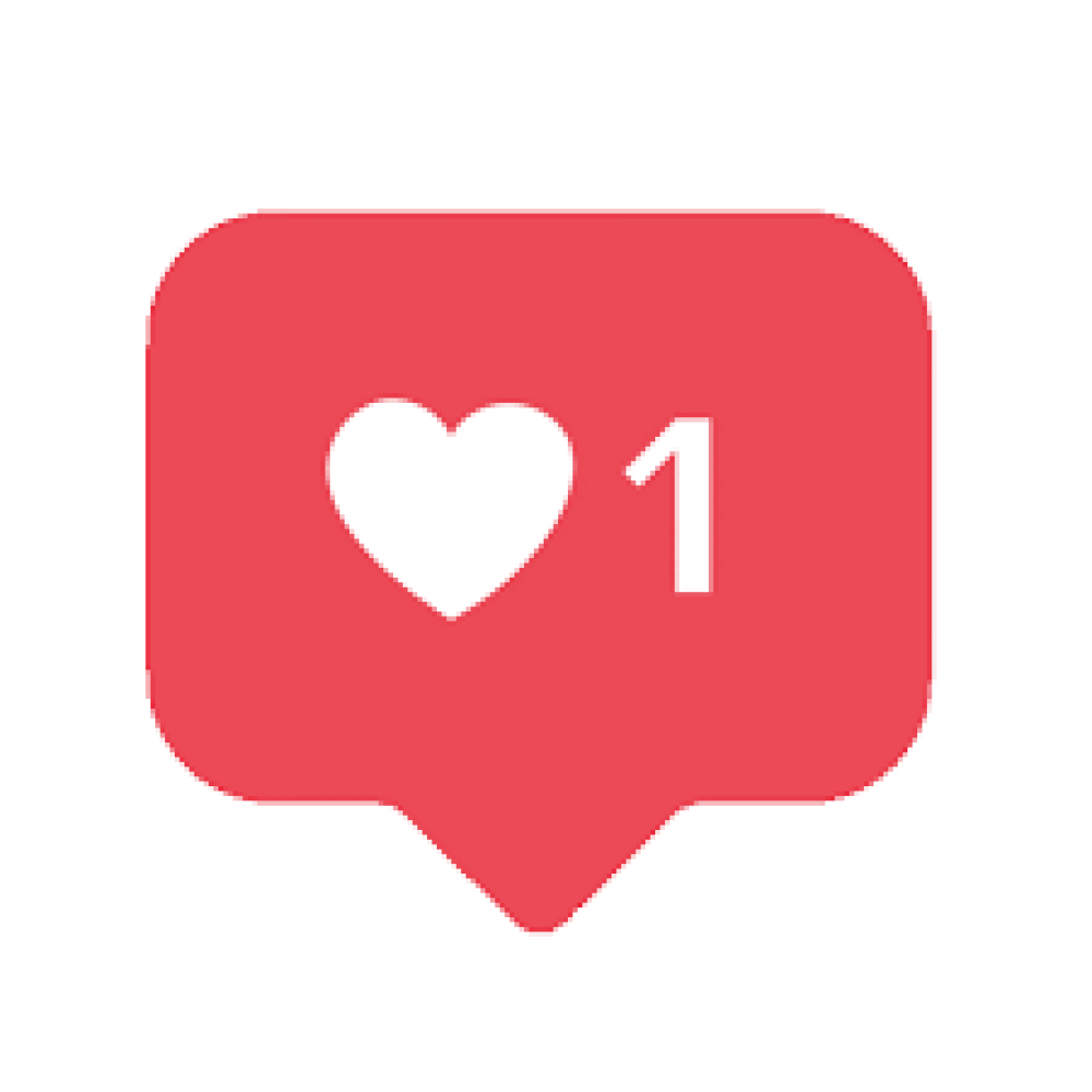 500 CURTIDAS - SEGUIDORES