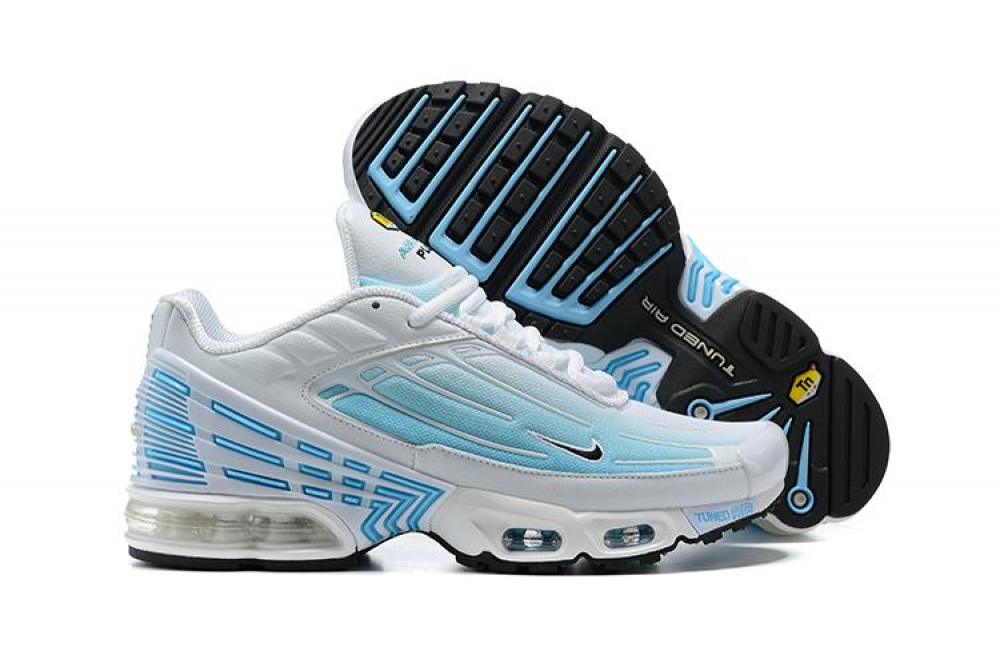 Tn 3 Bleu